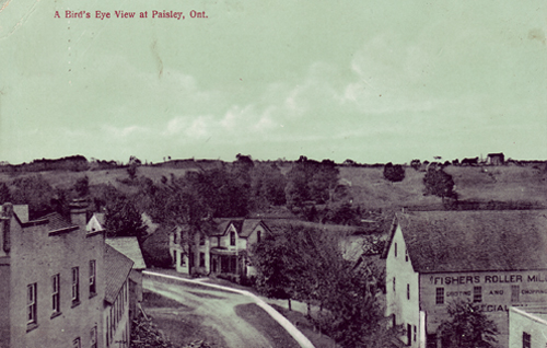 DEEP ROOTS & TALL TREES - Paisley Buildings